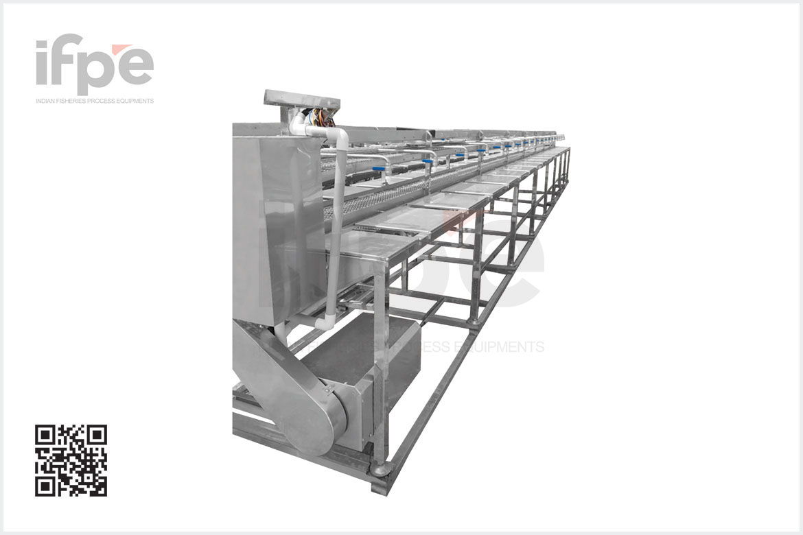 Conveyors, IFPE